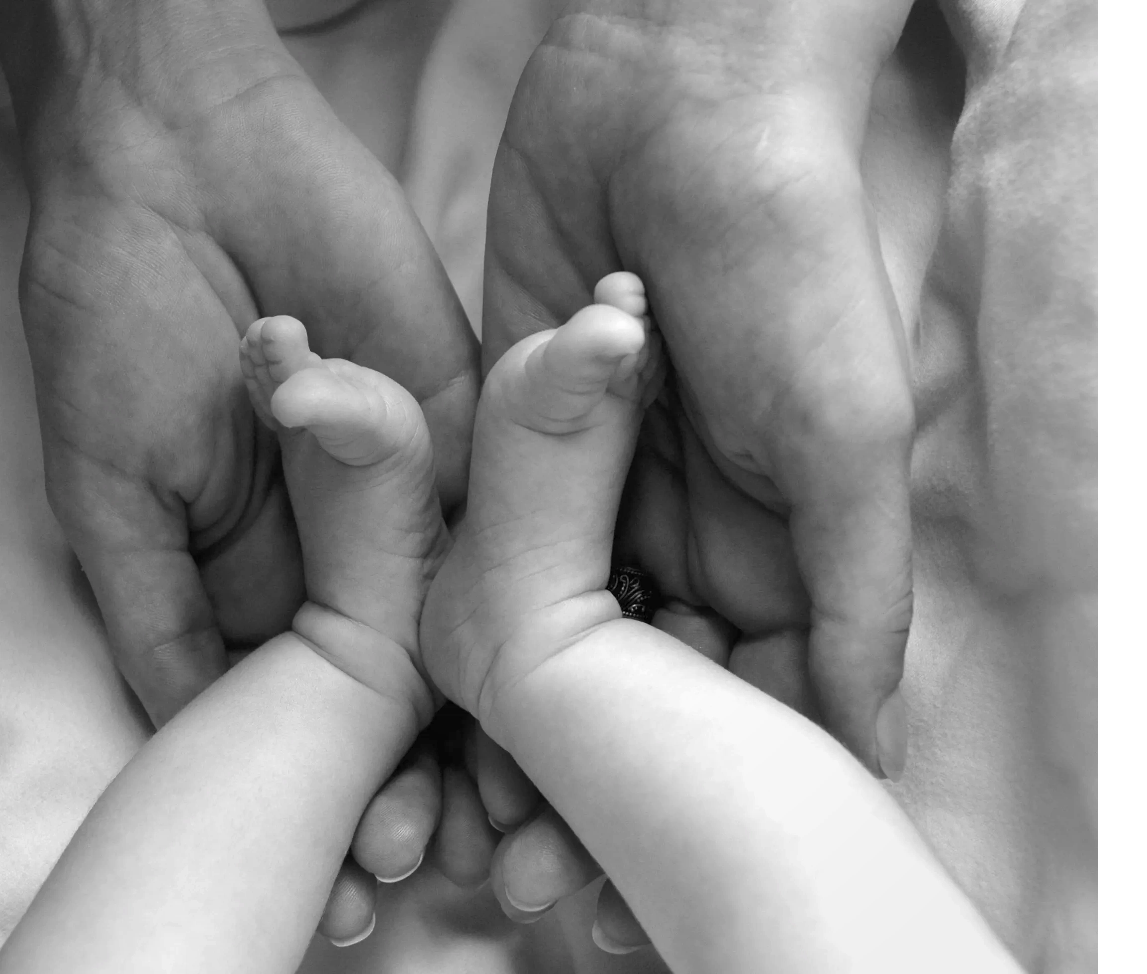 Rachel Hofer Photography