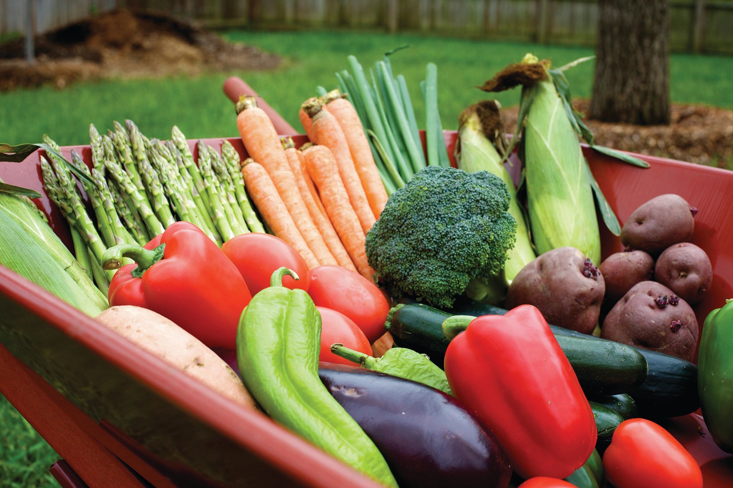Vegetables: What you need to know.