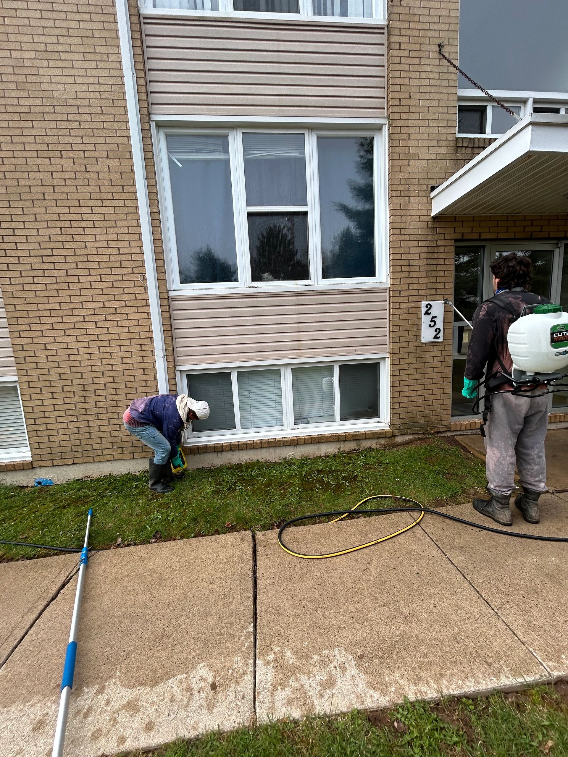 Professional House Washing Services