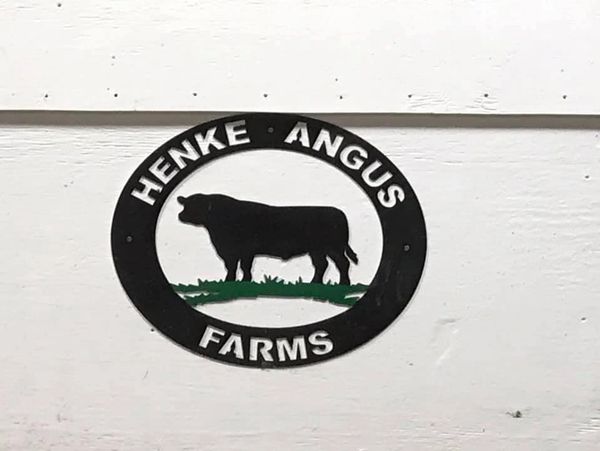 Henke Angus Farms - Certified Black Angus Cattle Expected Progeny ...