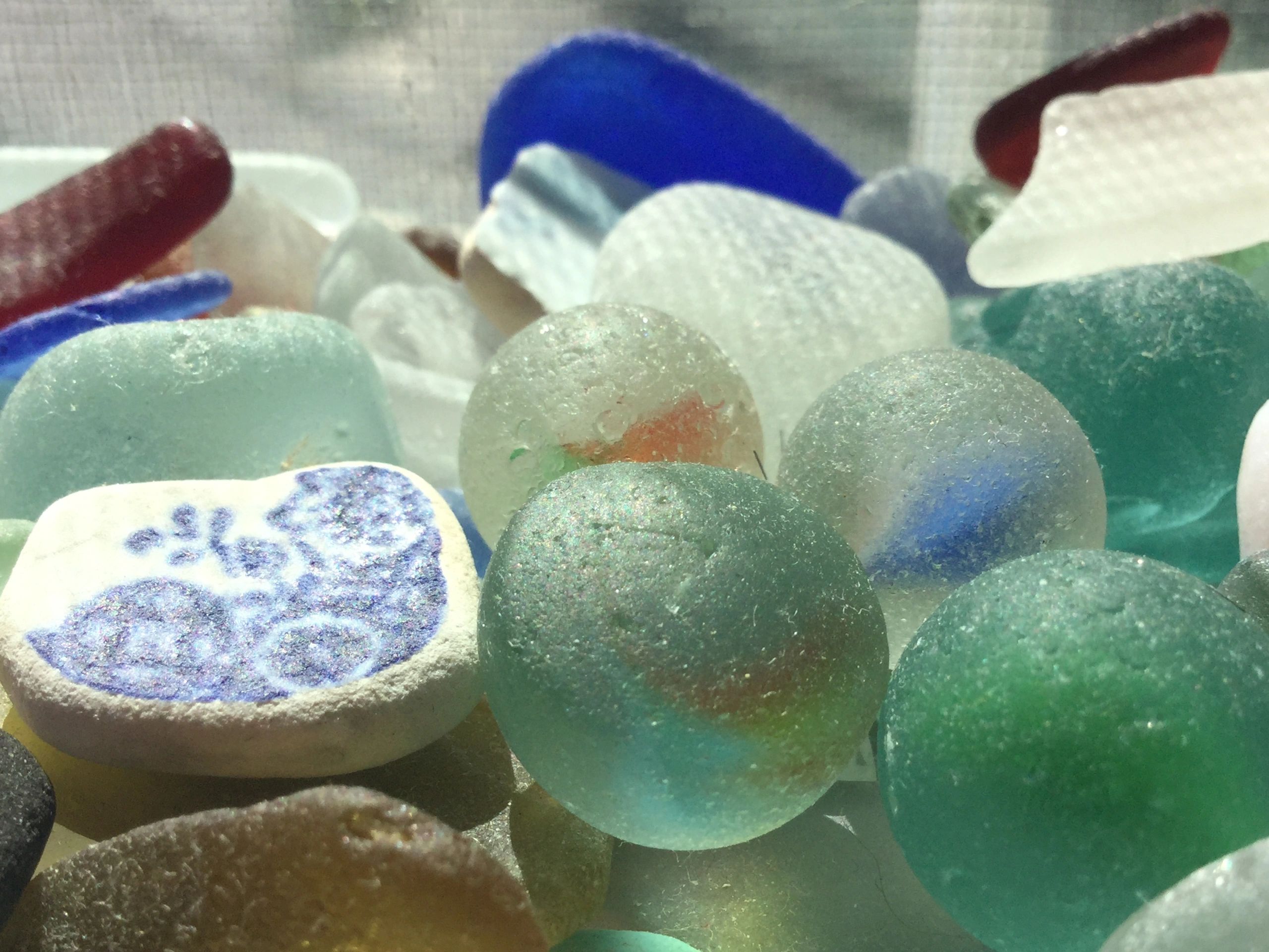 Marguerite Ruppenicker, PhD