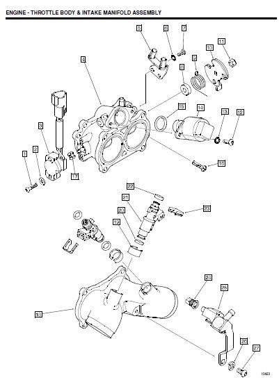 Throttle Body & Intake Manifold Assembly