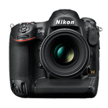 DSP Images - Photography & Graphics, Signs, Banners, Lettering