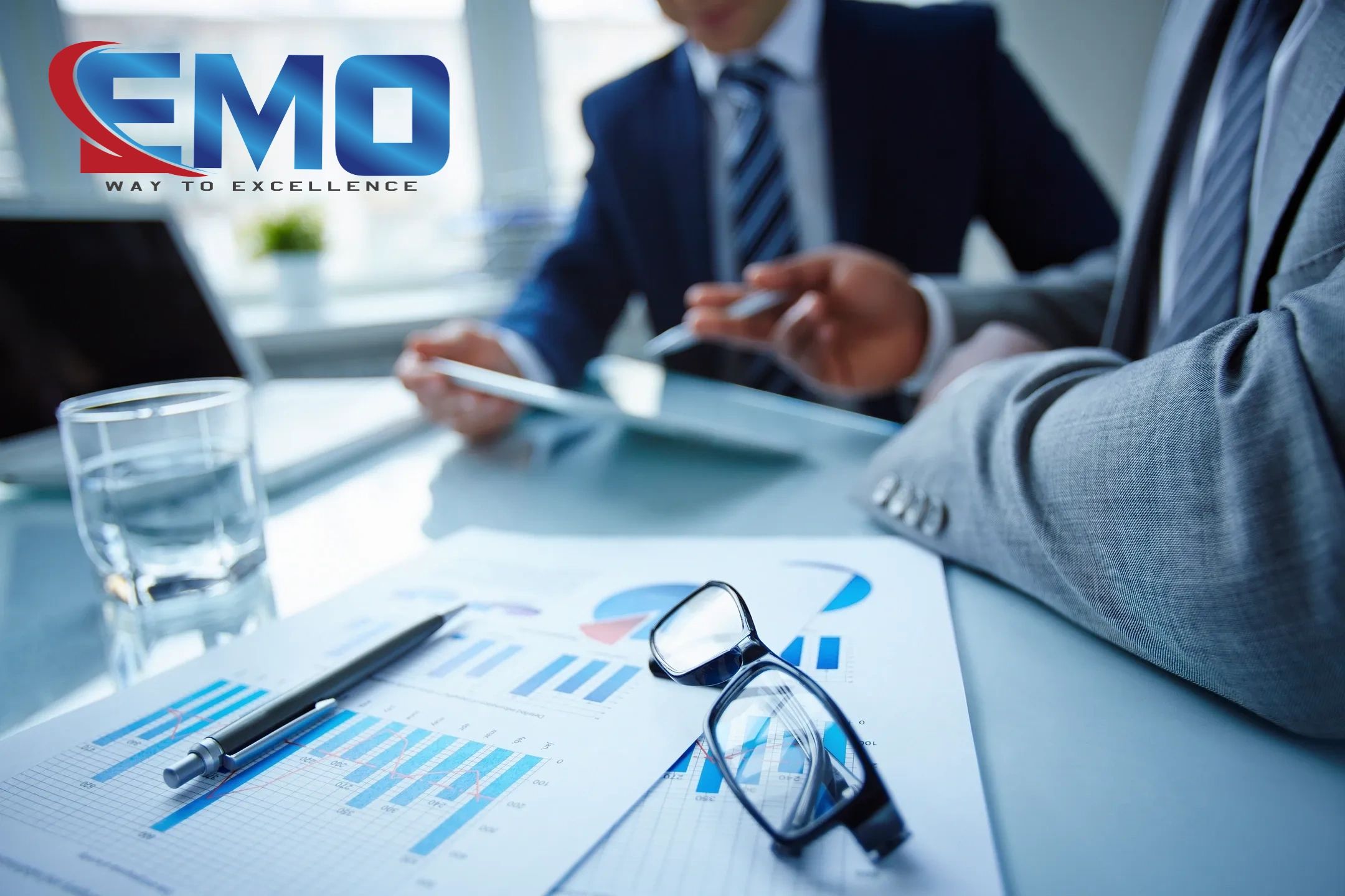 EMO - Business and Management Consultant