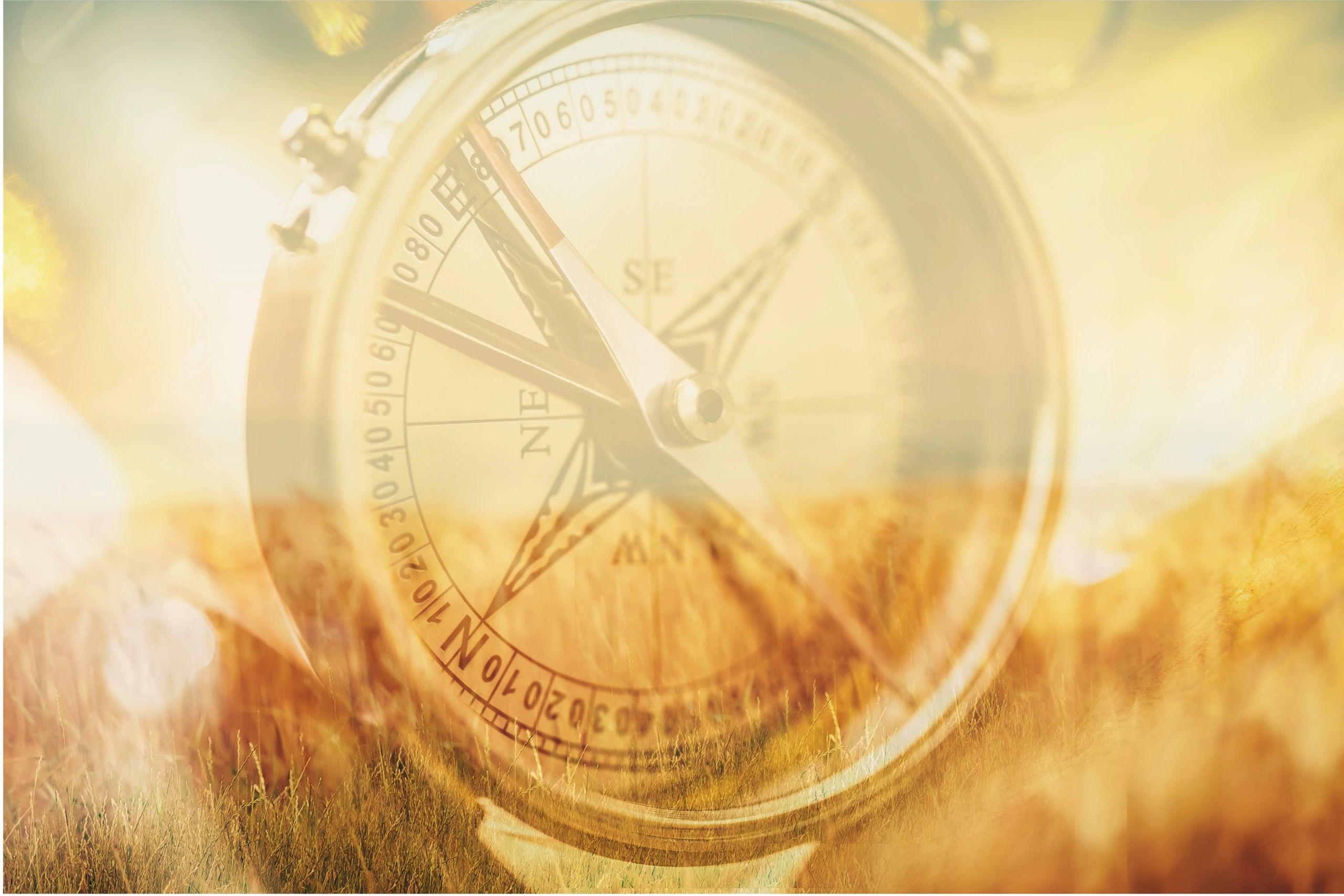 Troop 215 South Carolina