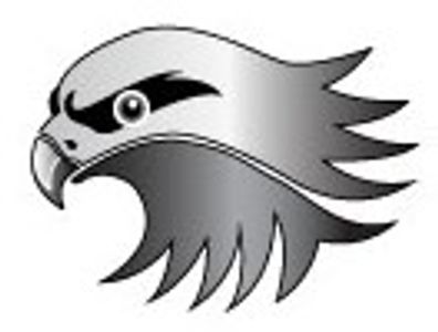 Silverhawk Security - Security, Security Guards