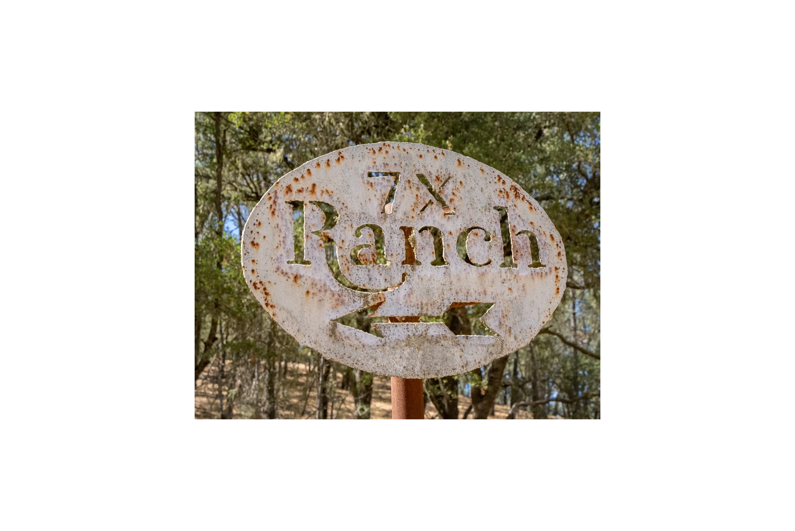 7X Ranch