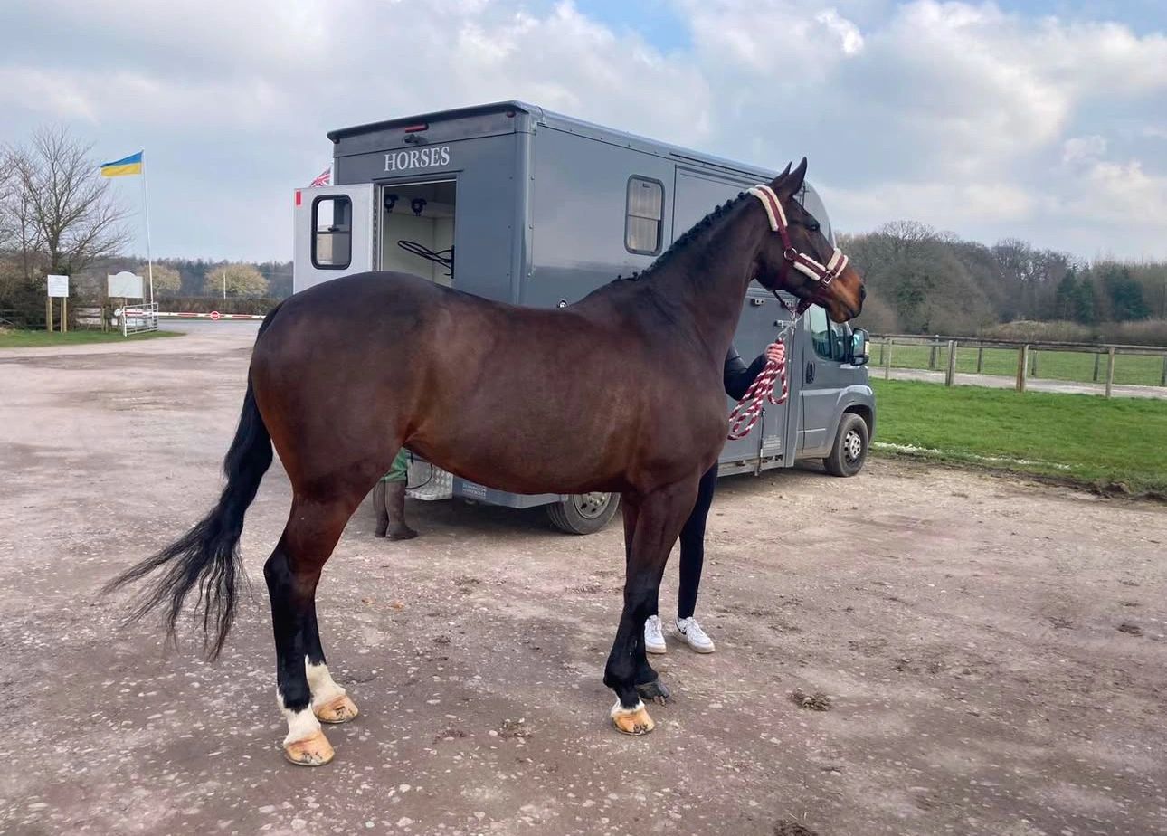 DMB Equestrian Transport