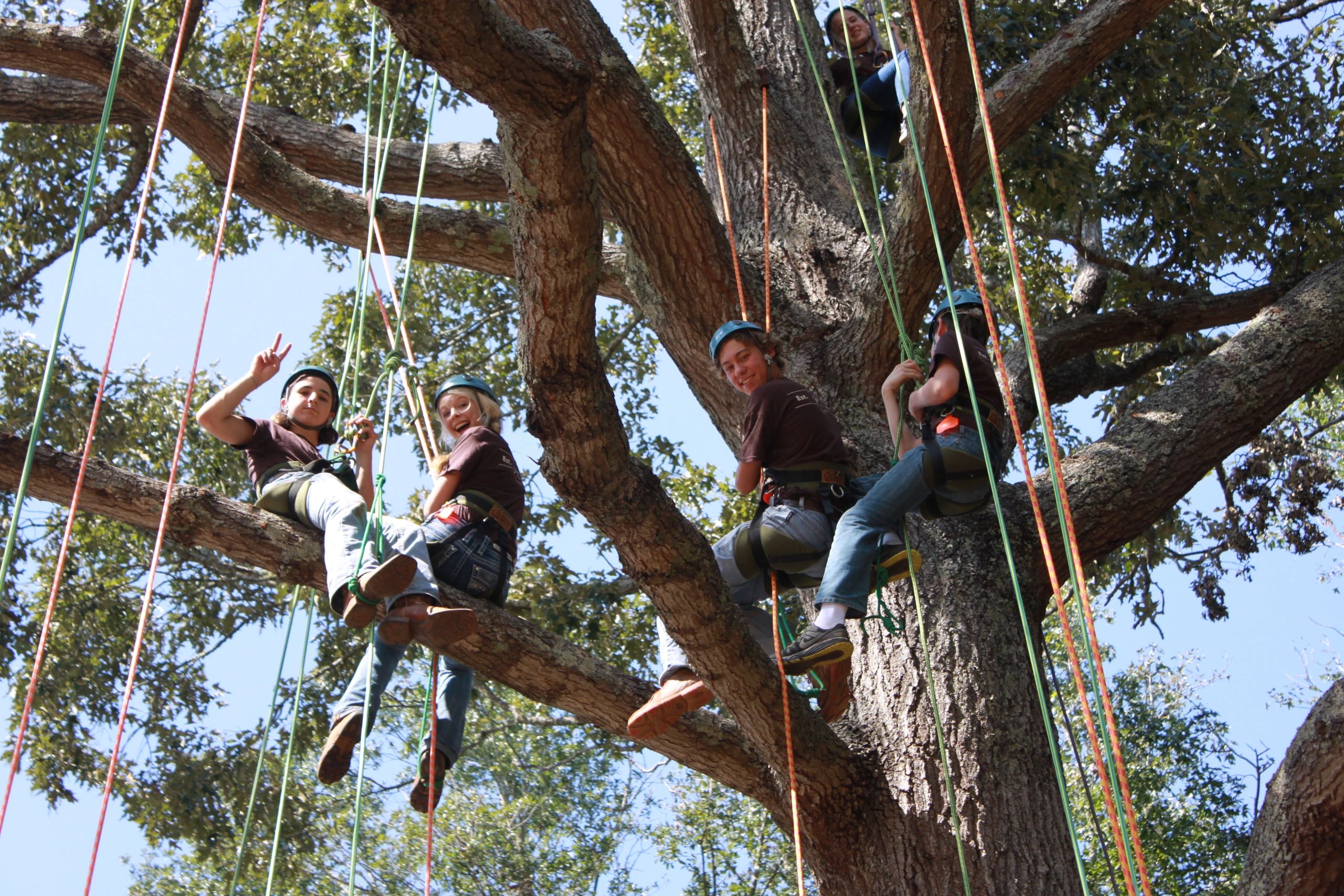 Tree Climbing | WildRice Adventures