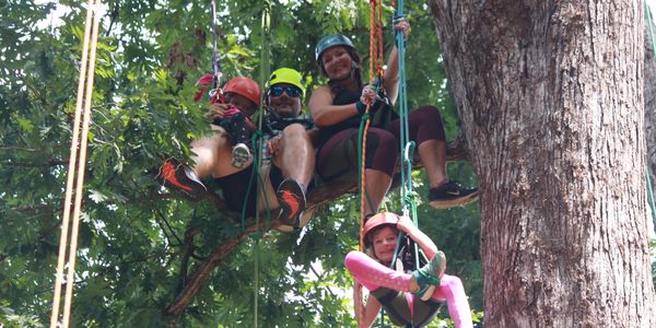 Tree Climbing | WildRice Adventures