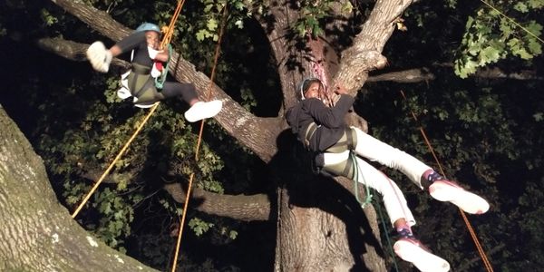 Tree Climbing | WildRice Adventures