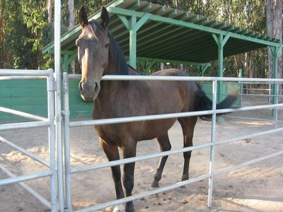 Triple D Ranch - Horse Boarding, Event Hosting