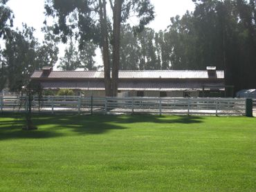 Our Facilities | Triple D Ranch