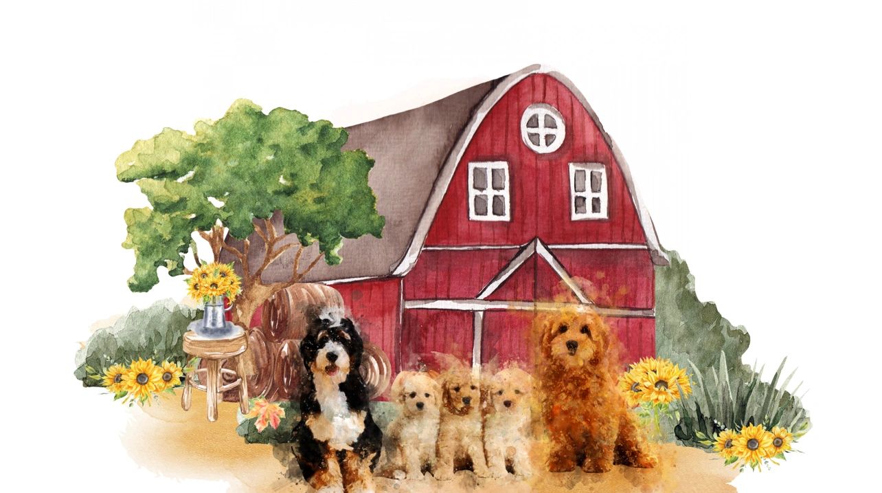 Dawn’s Doodles at Goudreau Farm - Home