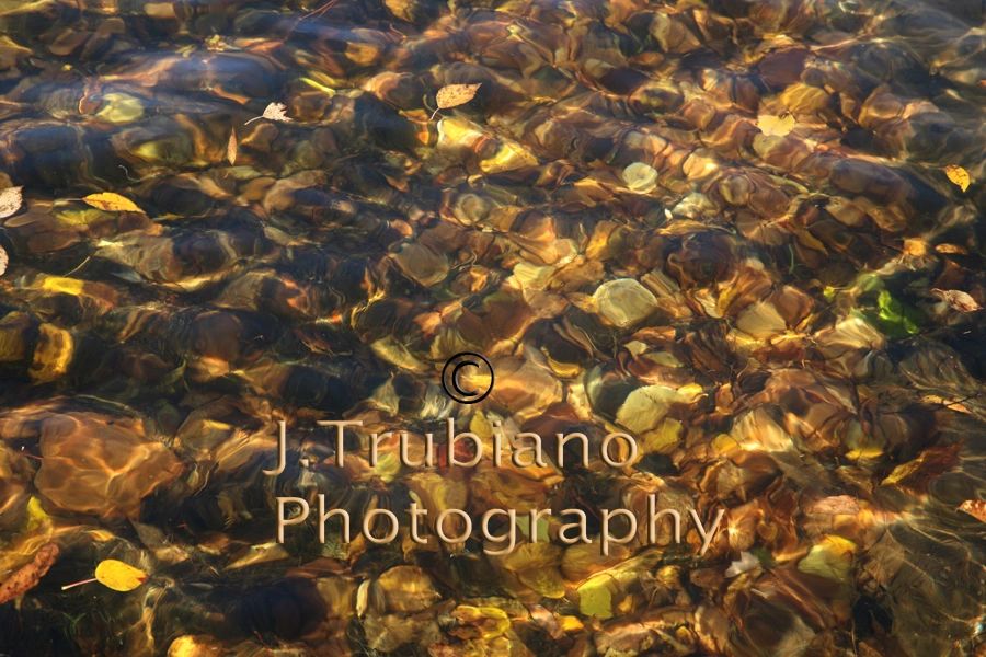 No.1 Look ALL around!