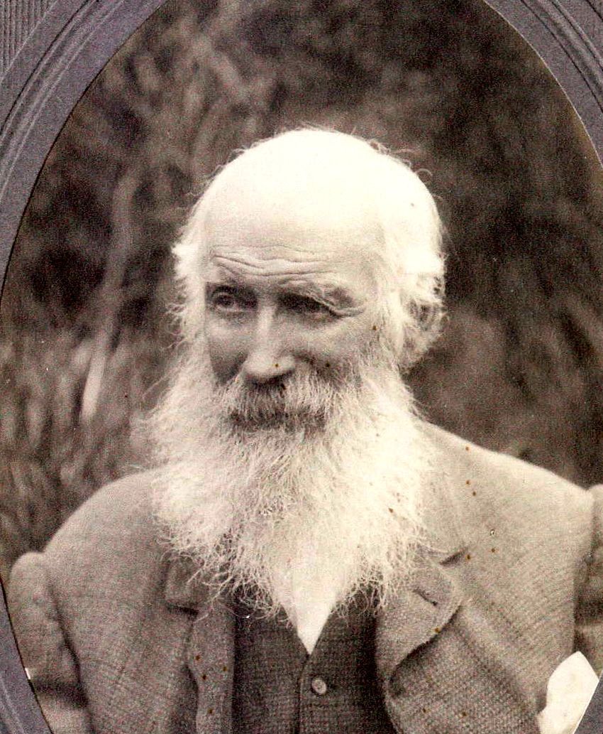 The Rippingale Pioneers of New Zealand