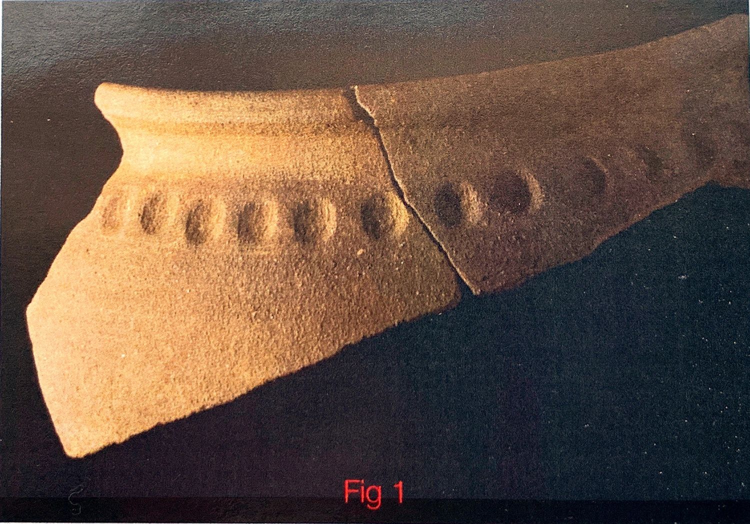 The Hedingham Medieval Pottery Industry