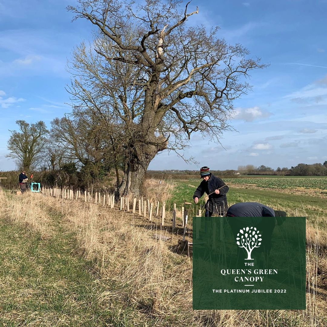 The planting of the Platinum Jubilee Trees