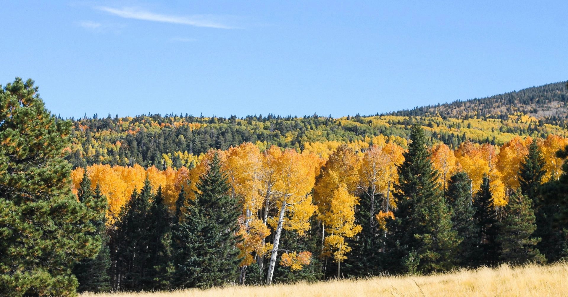 Arizona Rural STEM Summit