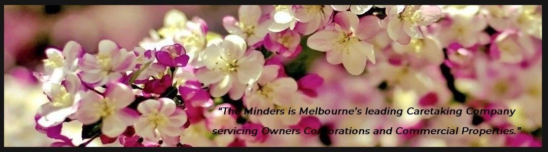 The Minders - Franchise System, About a Minders Franchise