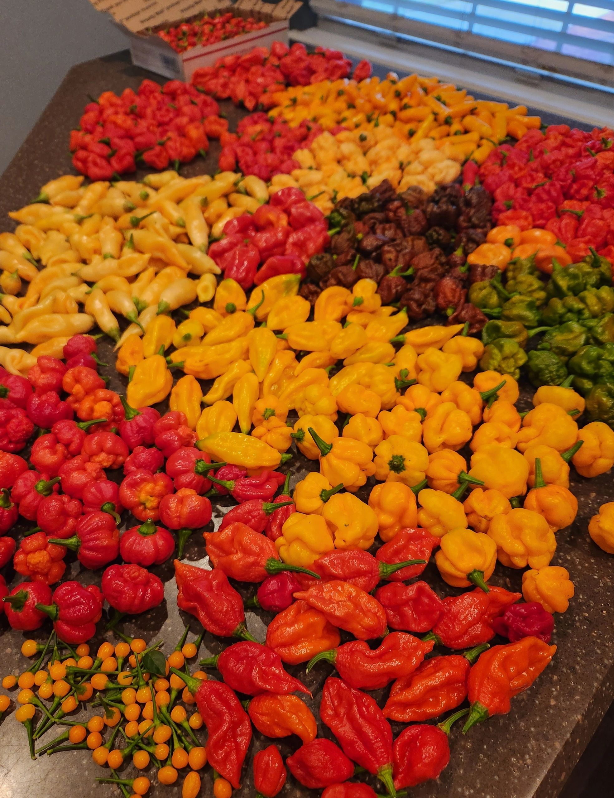 Hot Peppers (5K-800K SHU)