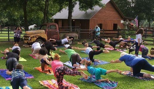 Goat Yoga Georgia