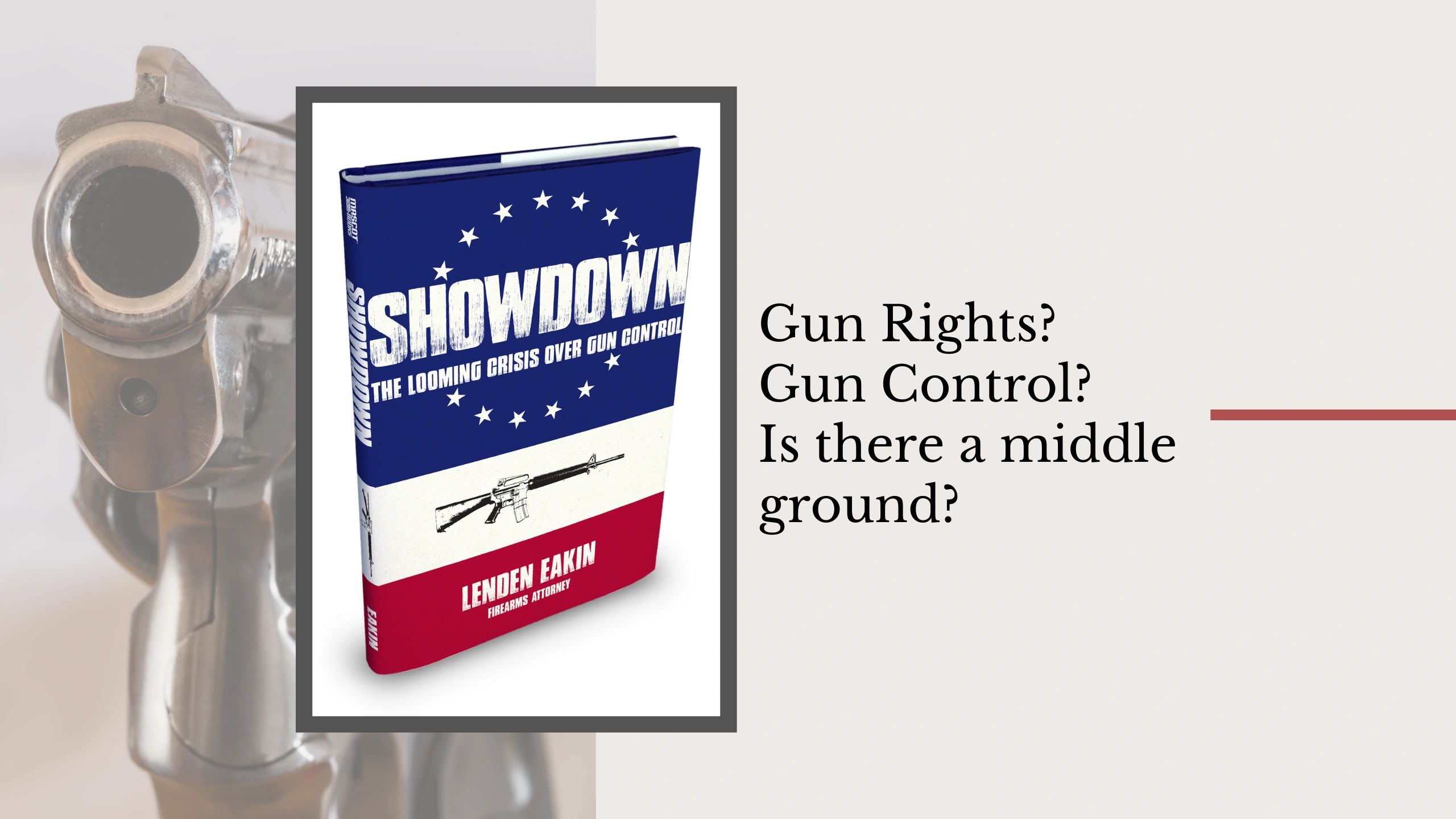 Gun Control Book - Gun Control, Gun Control, Book