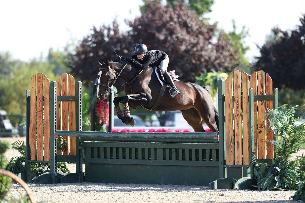 BellaMar Training Stables