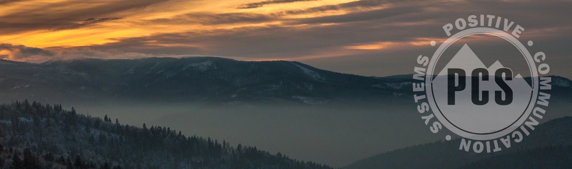 POSITIVE CONTROL SYSTEMS