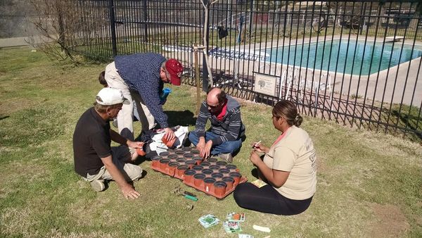 Rusty's Morning Star Ranch