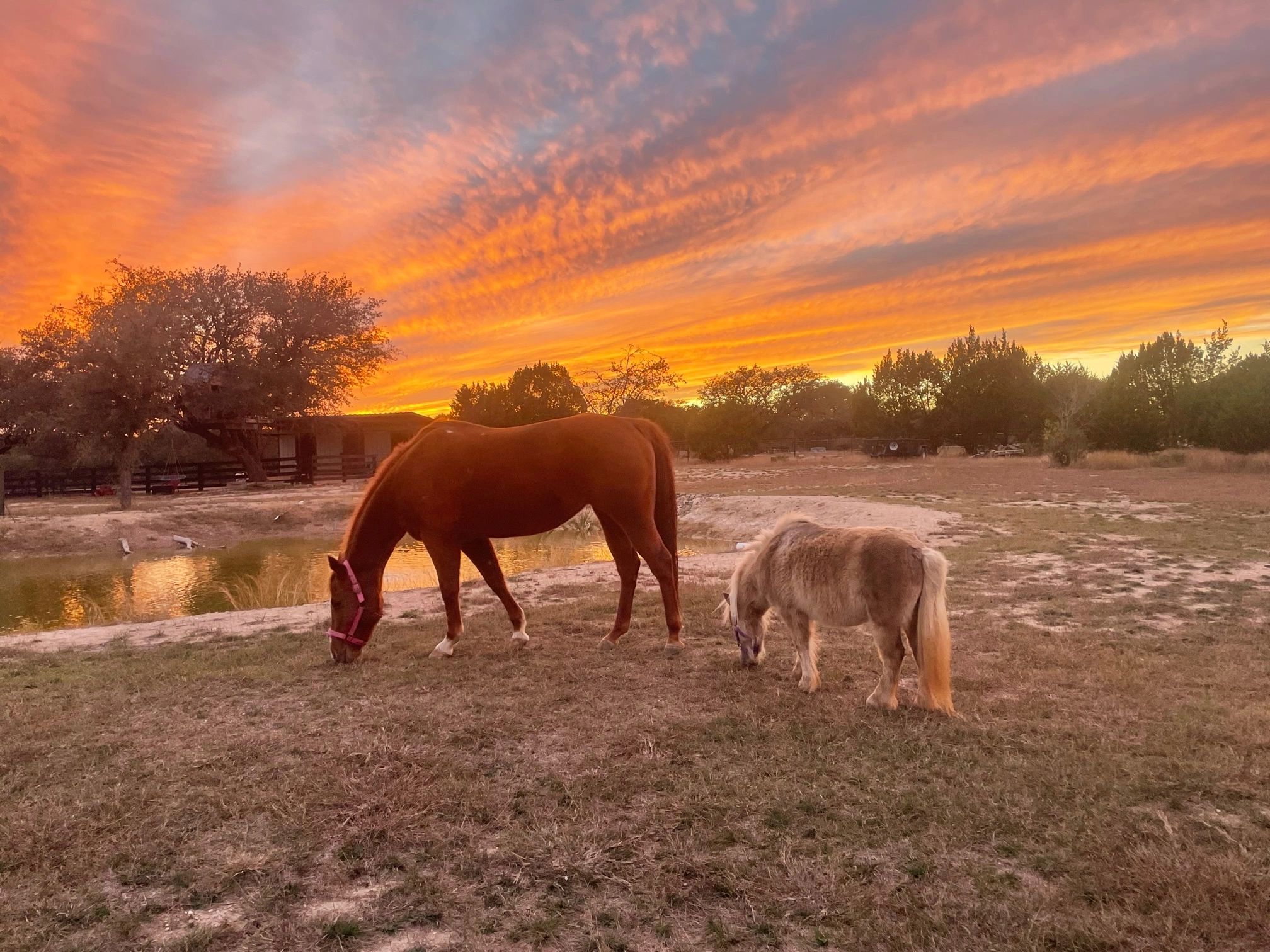 Hub Ranch Stables