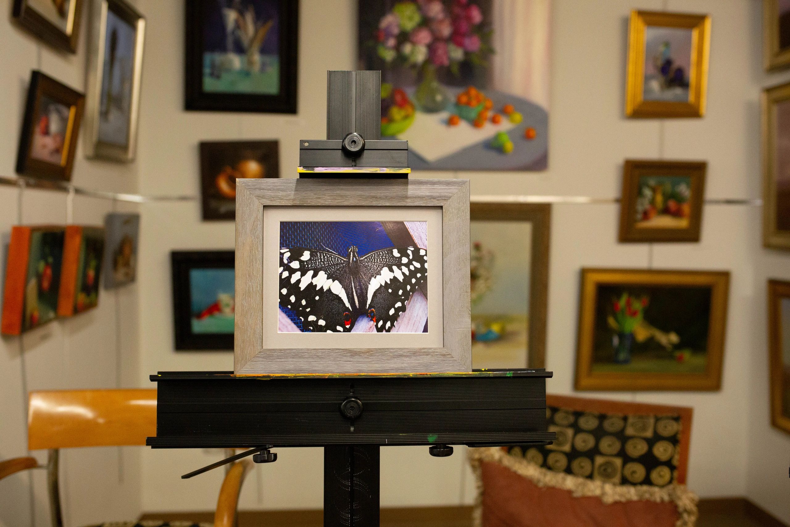 Creative Gallery Workshops