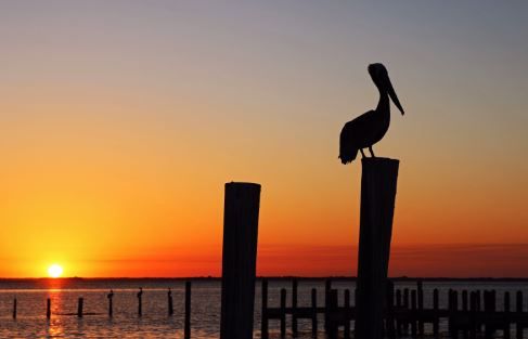 Home [pelicanbaysolutions.com]