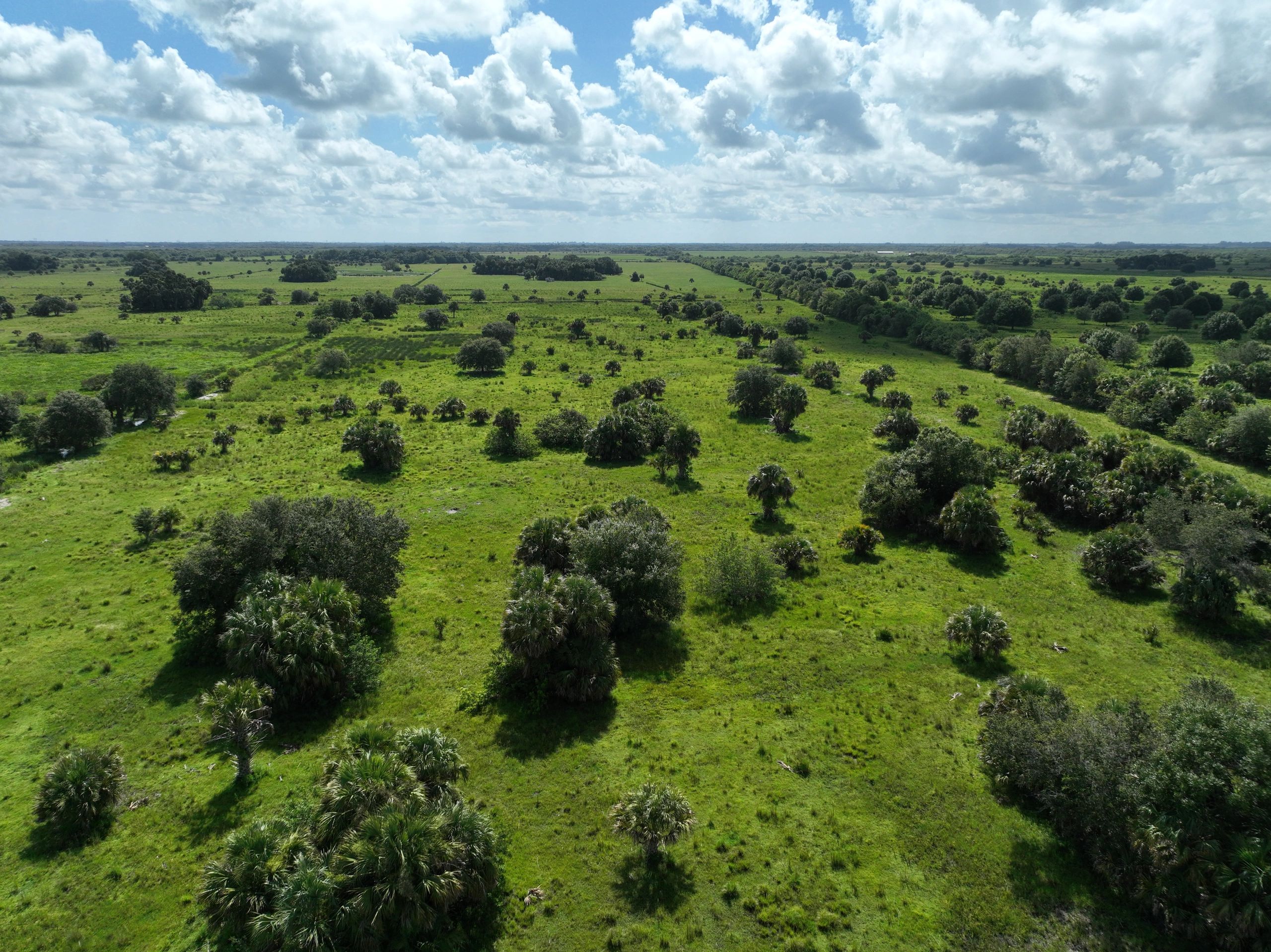 Lease Land for Hunting and recreational use