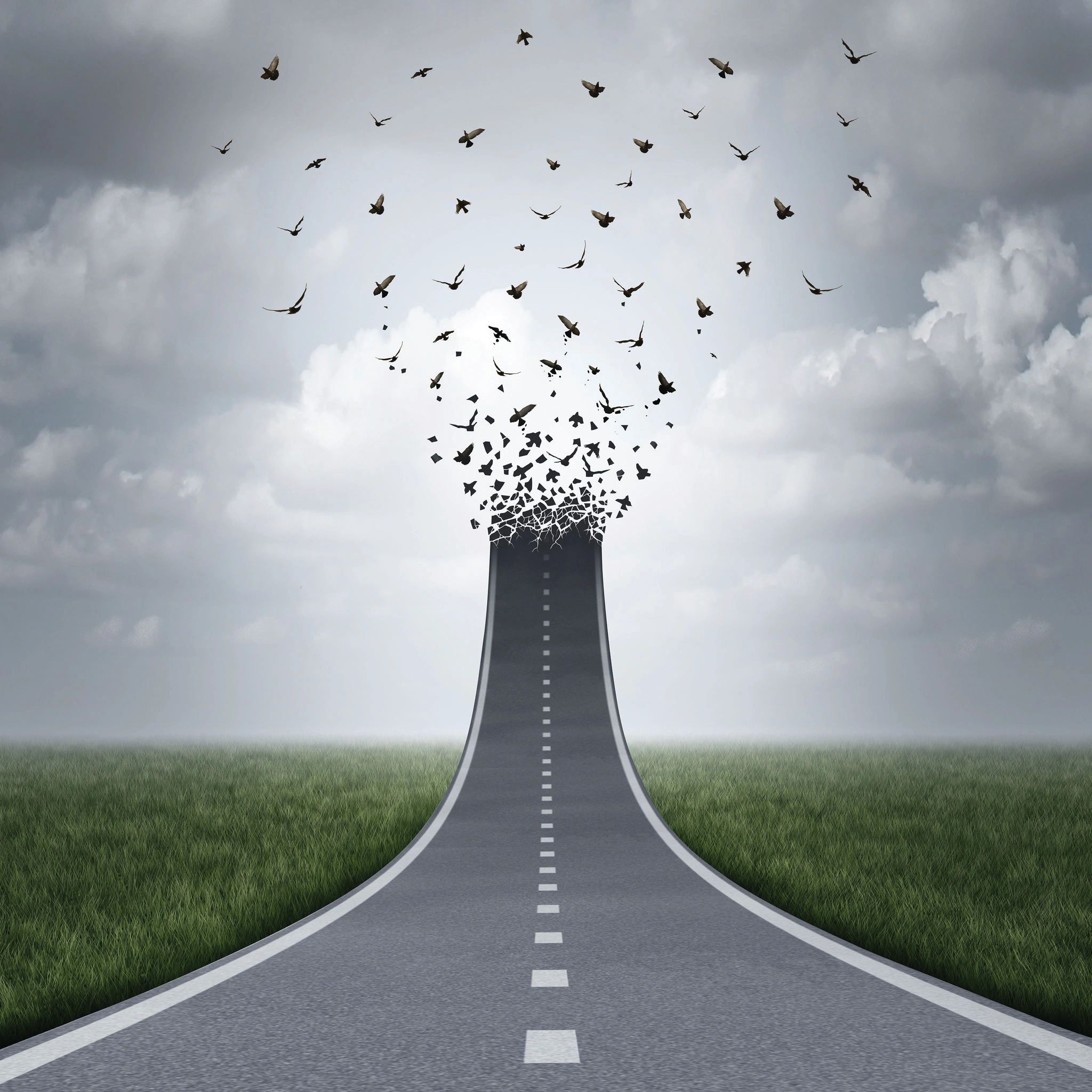 The Start Of A True Calling. The Journey To Finding Your Path.