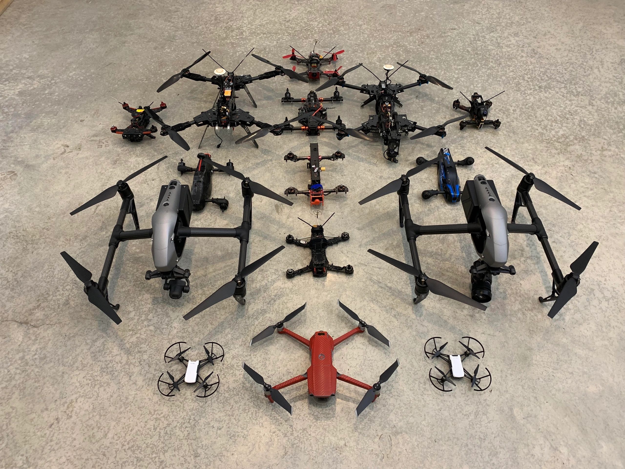 About us | Ant's Flying Ants