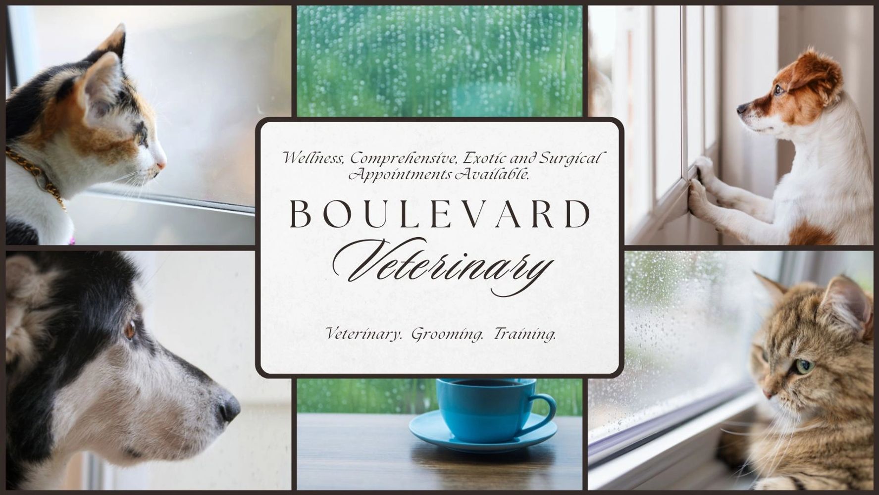 Boulevard Veterinary Care Center