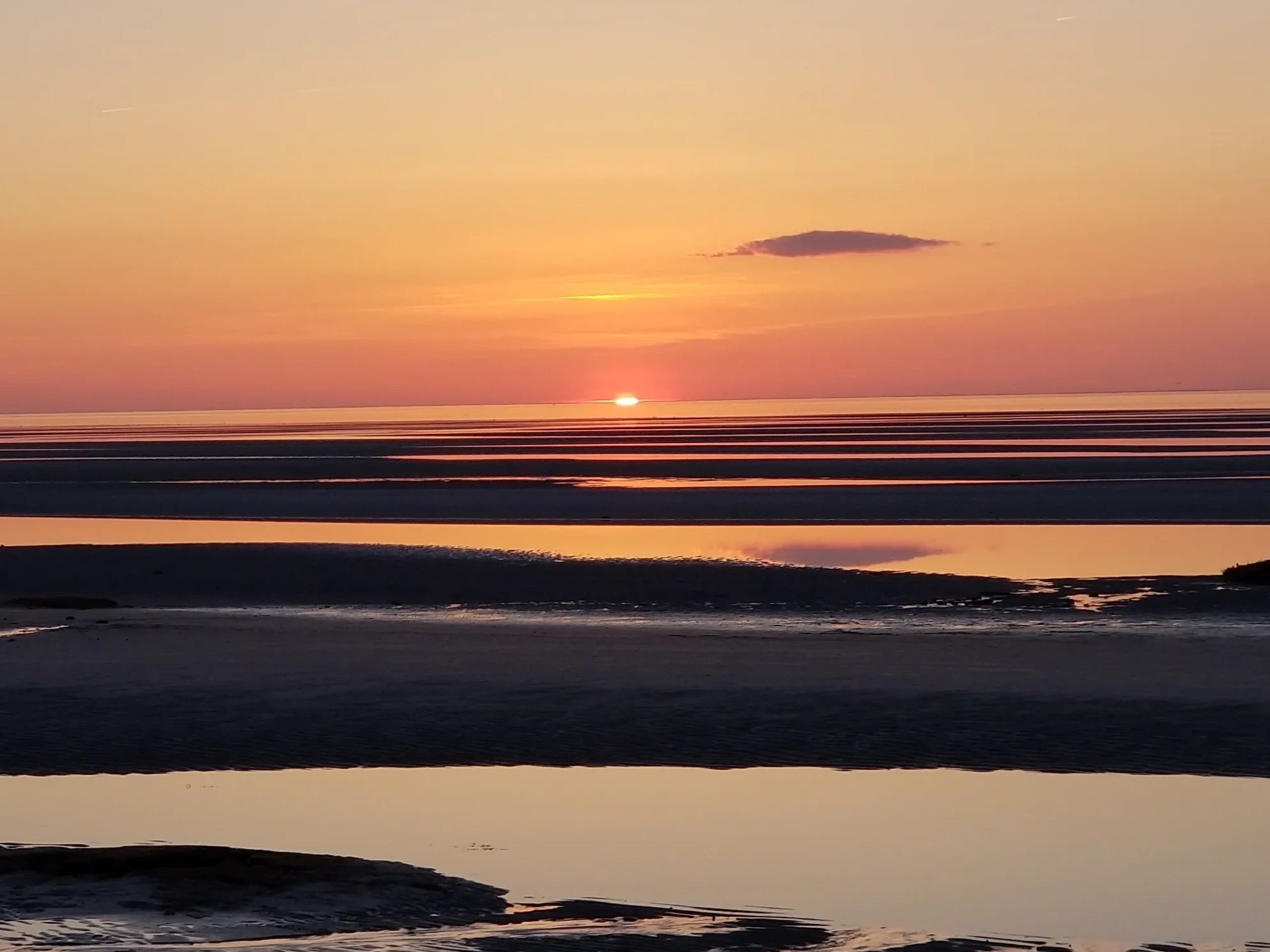 Cape Cod Cleaning Inc.