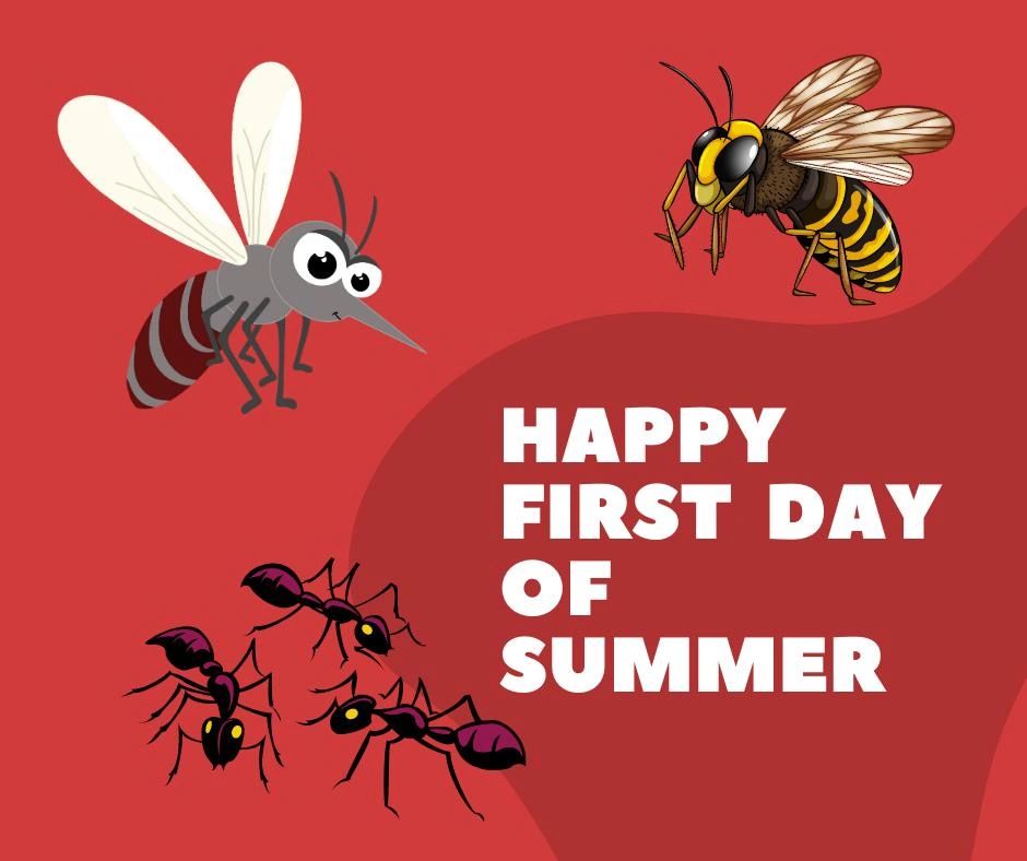 Happy First Day of Summer 2023!