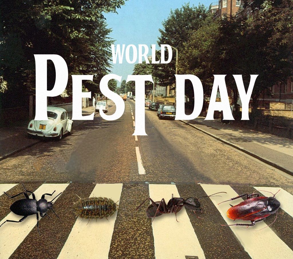 Happy World Pest Day 2022!