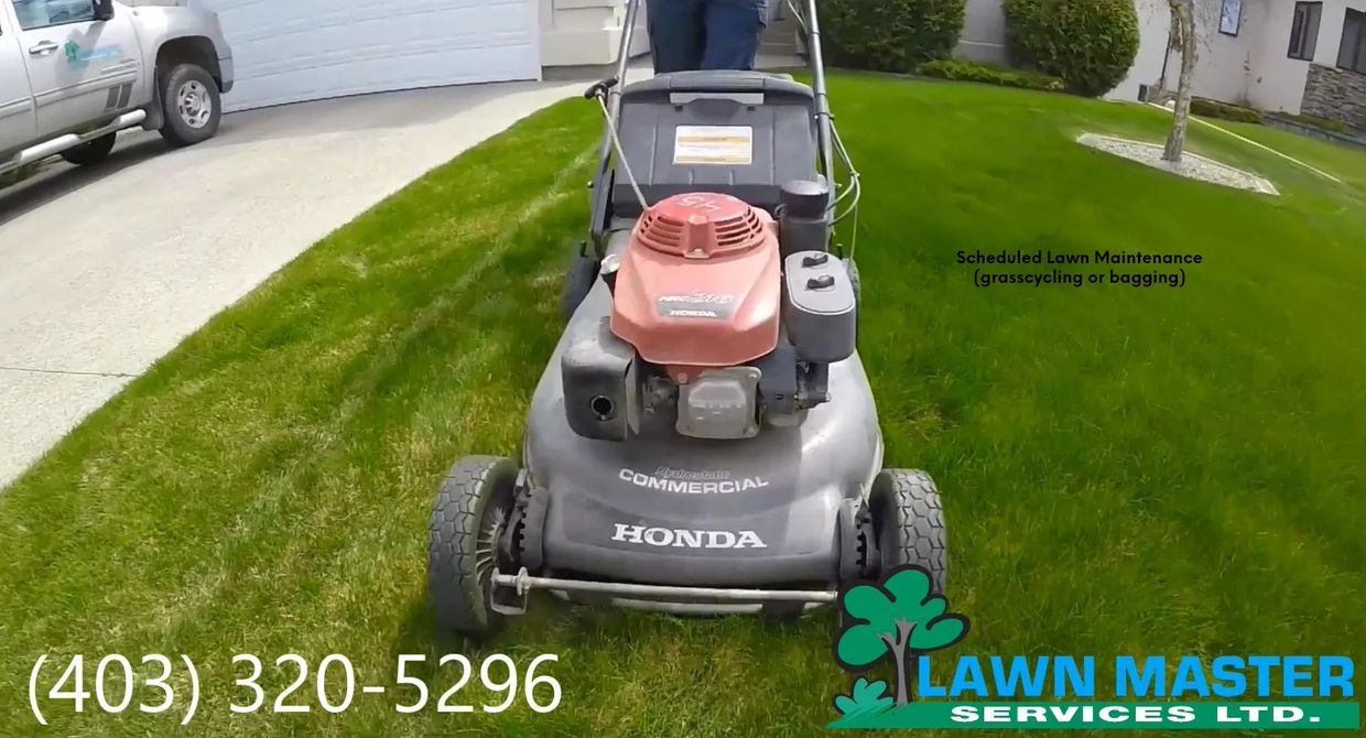 Lawn Master Services - Lawn Care, Snow Clearing