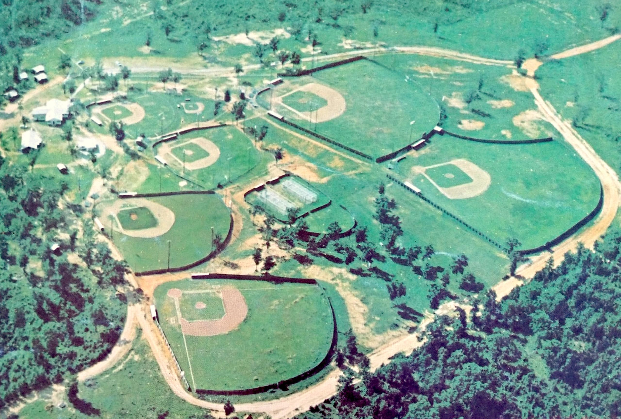 Gallery | Mickey Owen Baseball School Alumni