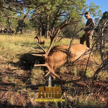 Arizona Mountain Outfitters Hunting Guides Arizona