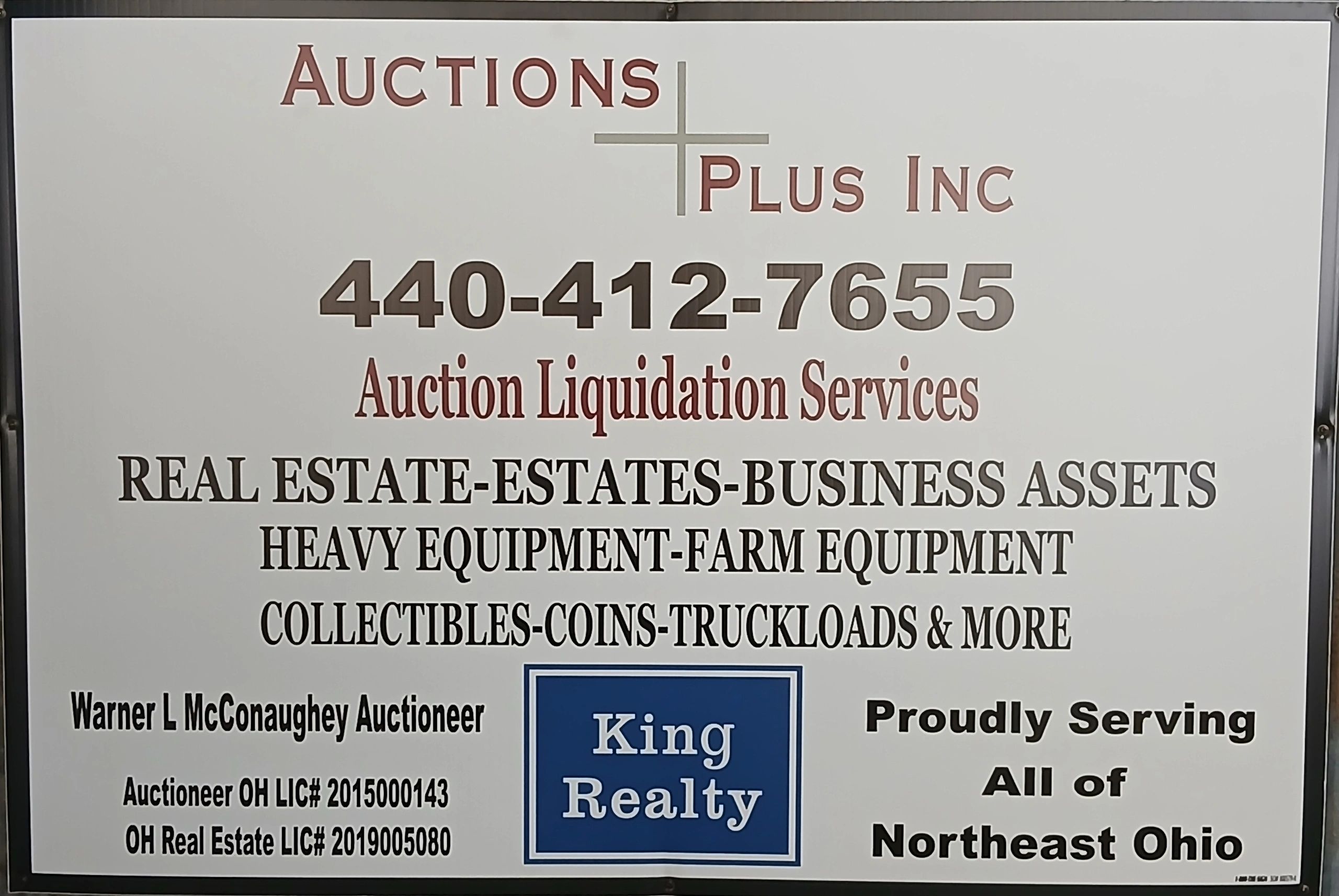 Auction Services | Auctions Plus Inc