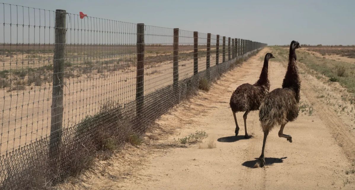 THE LONG STRETCH FENCING SUPPLIES