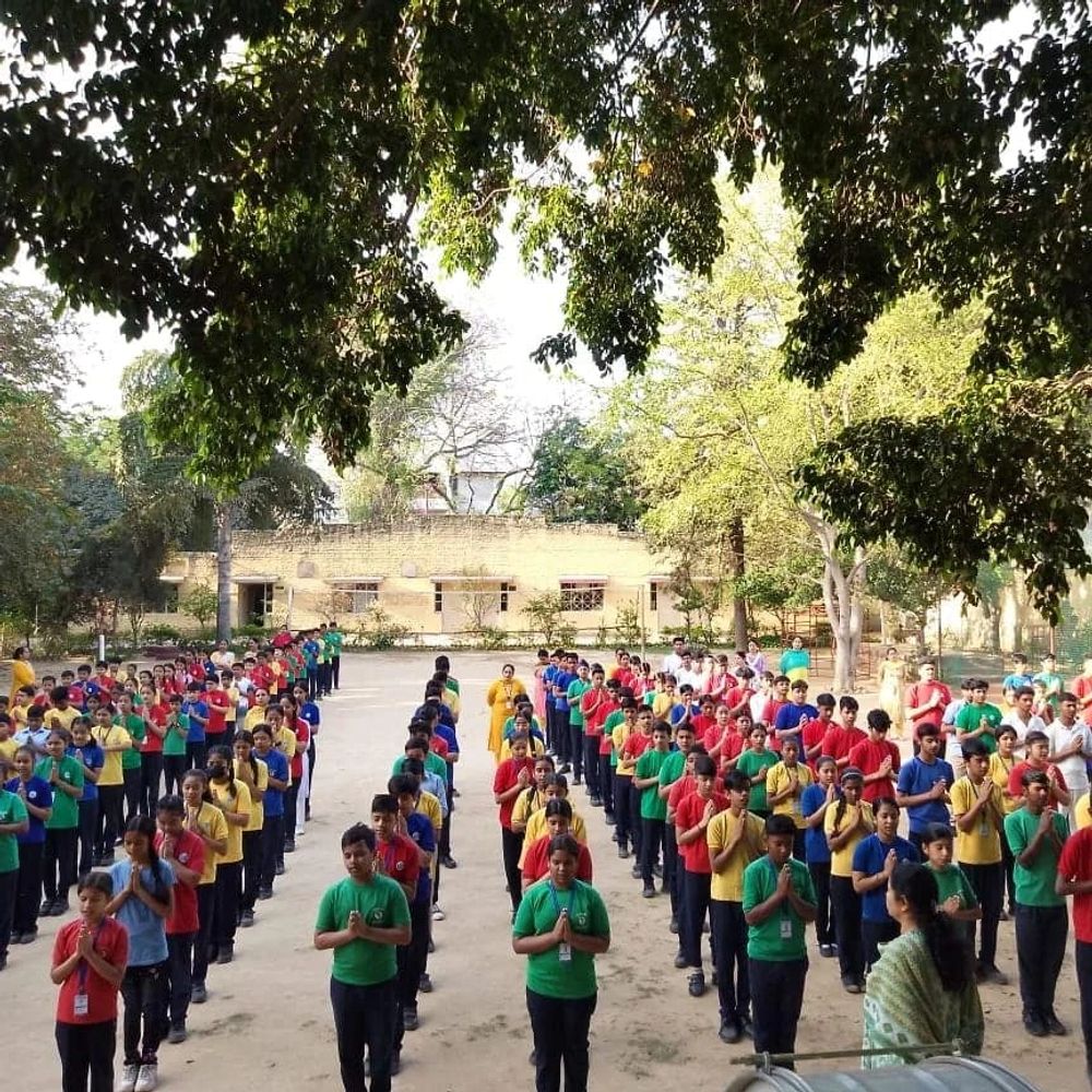 The Pine Crest School