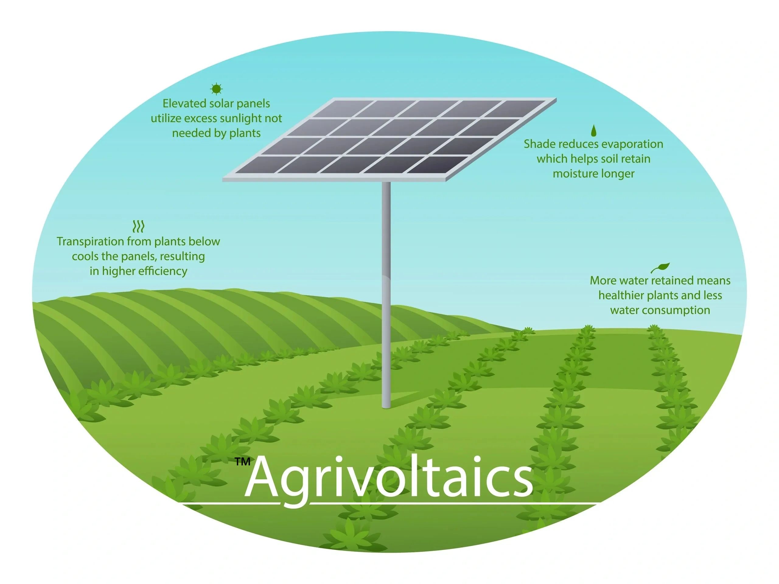 Agrivoltaics, LLC