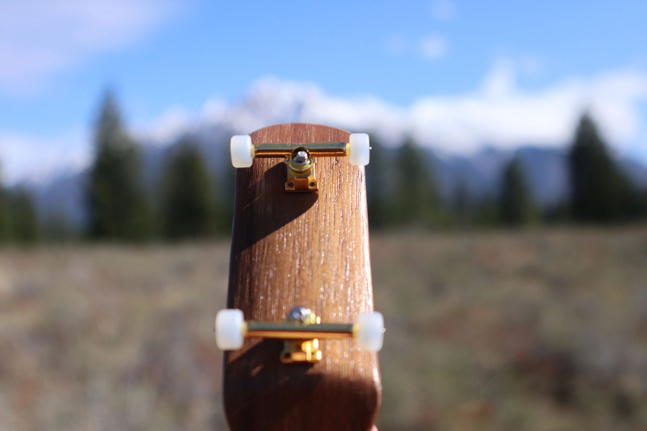 Gripsionfingerboards