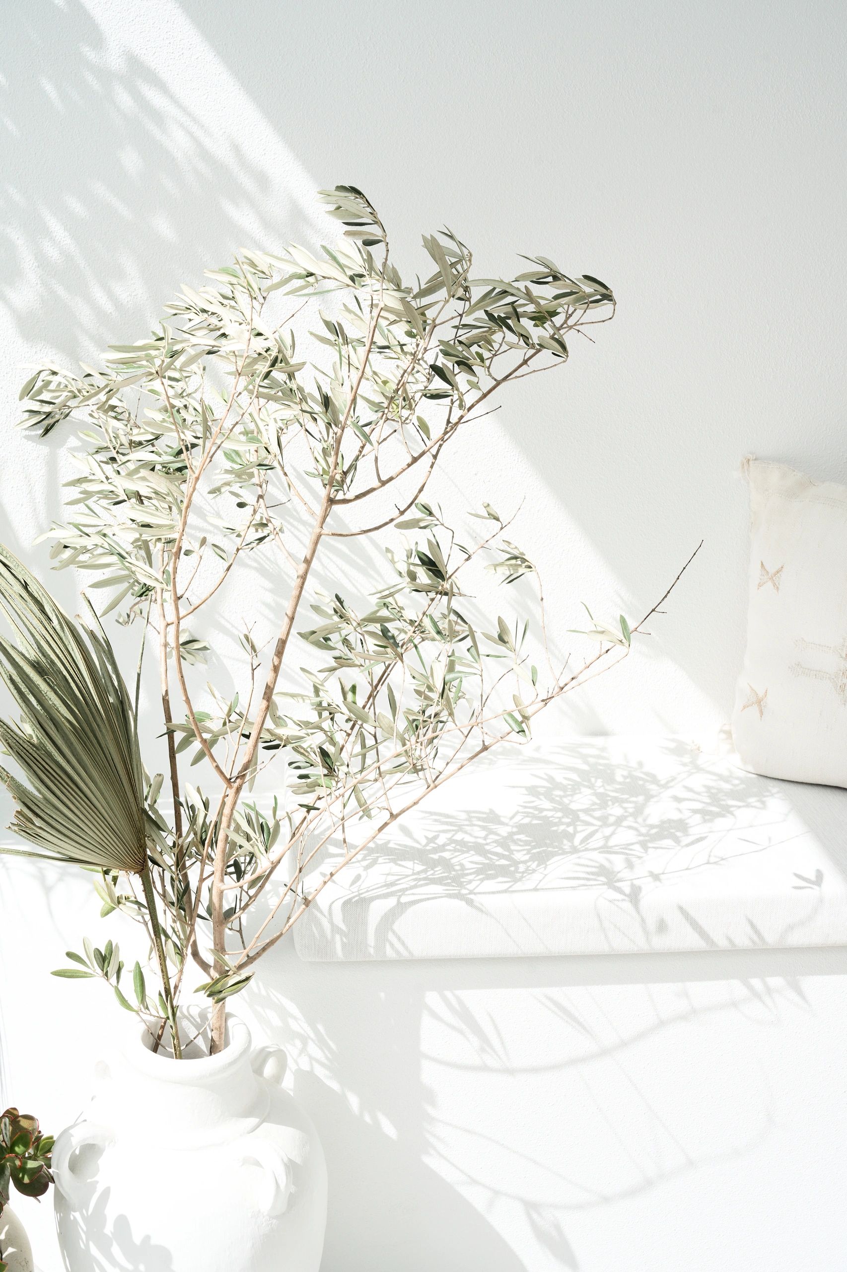 Masaki Maeda Photography