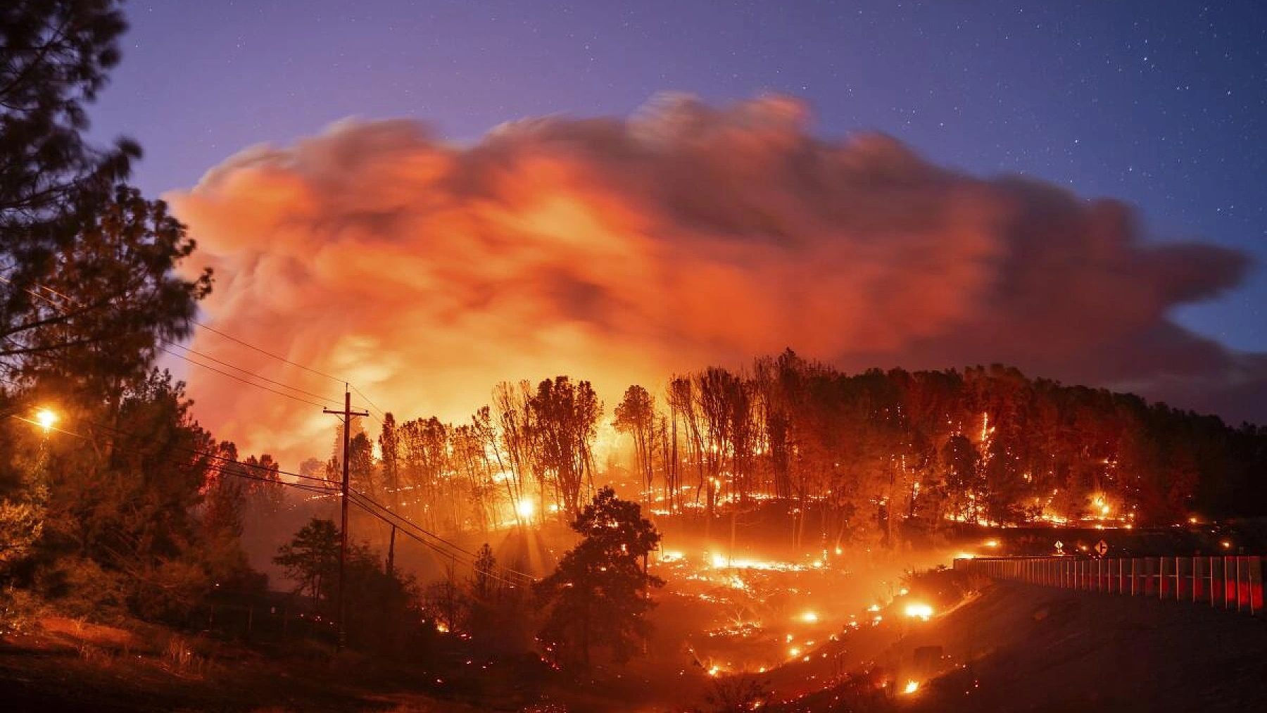 Maximizing Tax Relief for California Wildfire Victims in 2025